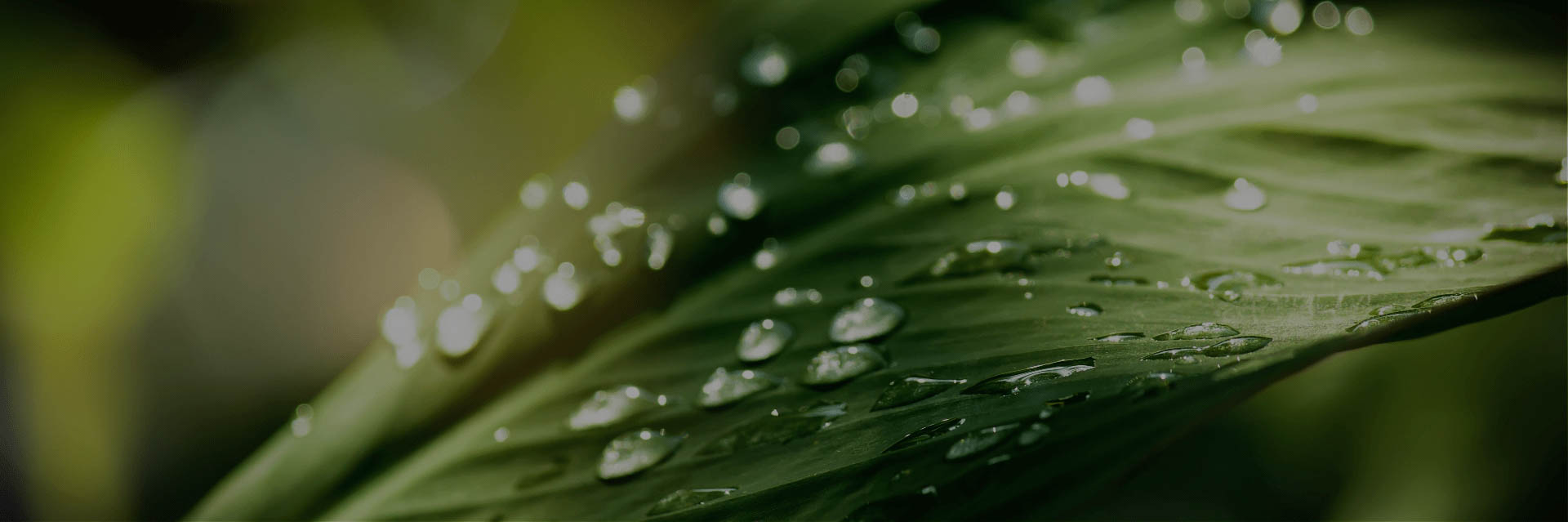 Sustainability - Easytech